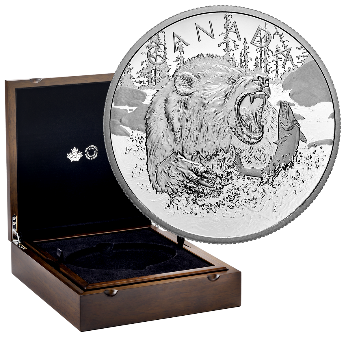 1/2 Kilogram Pure Silver Coin - Primal Predators: The Grizzly | The ...