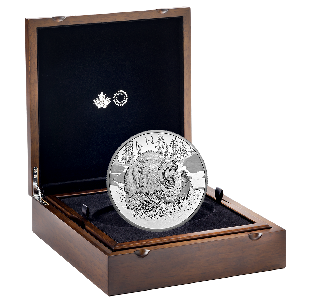 1/2 Kilogram Pure Silver Coin - Primal Predators: The Grizzly | The ...