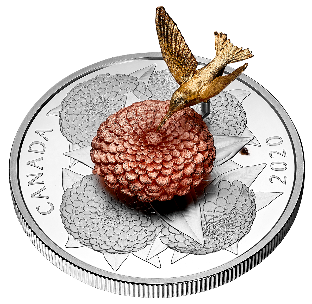 5 oz. Pure Silver Coin - The Hummingbird and the Bloom - Mintage: 1,250 ...