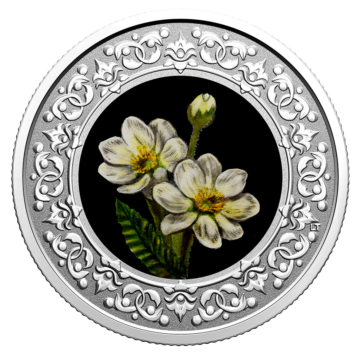 Floral Emblems of Canada 13-Coin Series - Pure Silver Coloured ...
