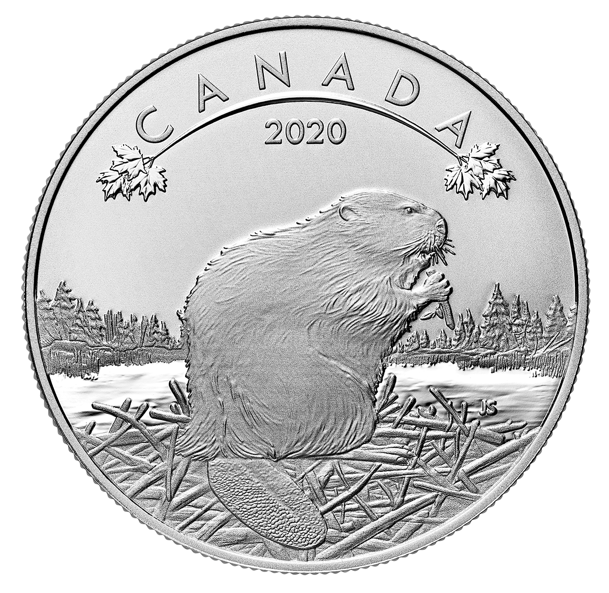 Pièce de 1/2 oz en argent pur – Série de six pièces Ô Canada! : Castor ...