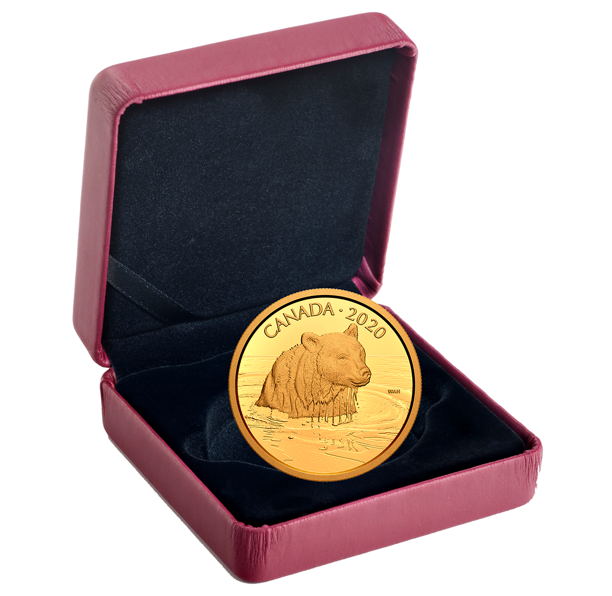 99.999% Pure Gold Coin - Canadian Wildlife Portraits: The Grizzly Bear ...