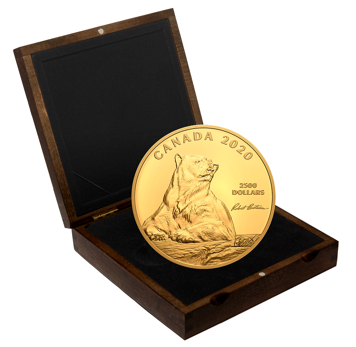 1 Kilogram Pure Gold Coin - Robert Bateman's Summertime Polar Bear ...