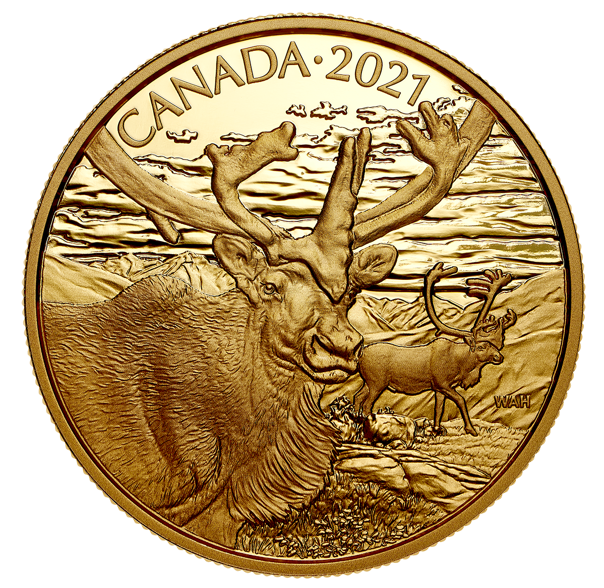 99.999% Pure Gold Coin - Canadian Wildlife Portraits: The Caribou | The ...