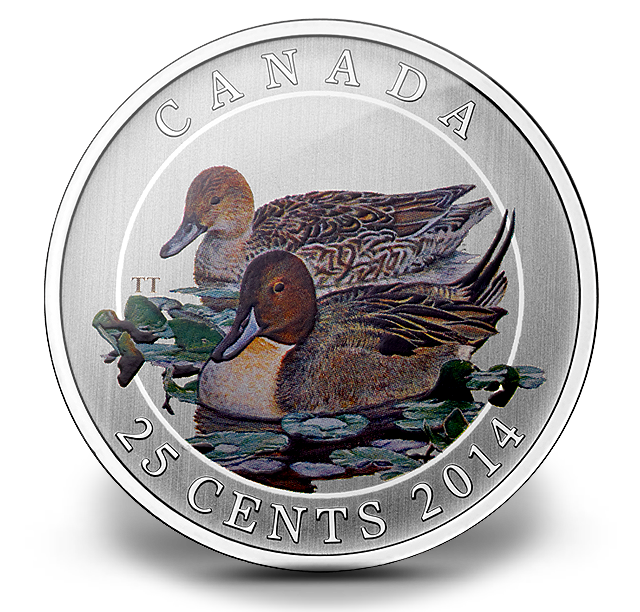 Pintail Duck - Coloured Coin (2014) | The Royal Canadian Mint