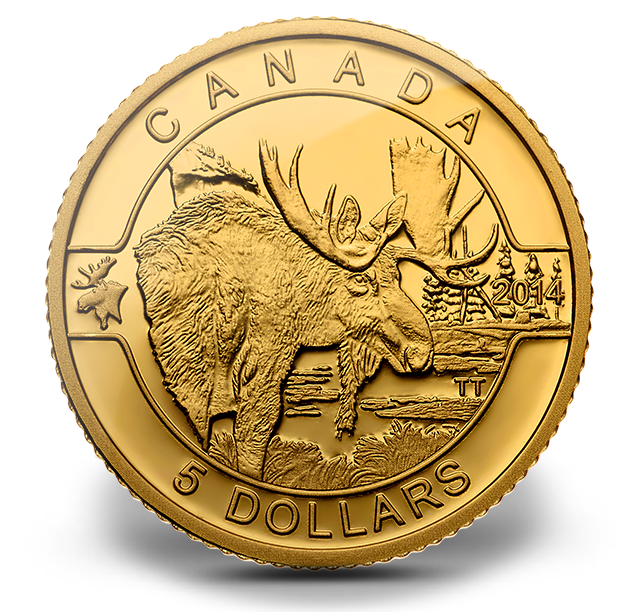 1/10 oz Pure Gold Coin - The Moose - Mintage: 4,000 (2014) | The Royal ...