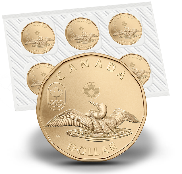 $1 Circulation 5-Pack - Lucky Loonie (2014) | The Royal Canadian Mint