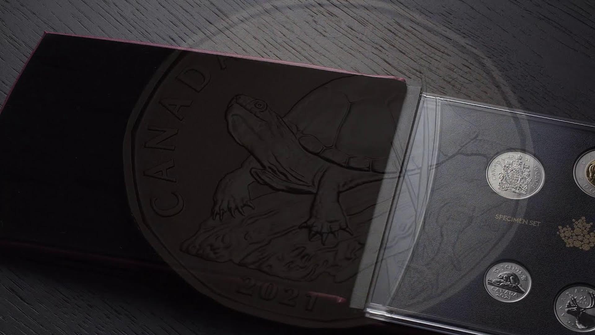 6-Coin Specimen Set - Blanding's Turtle (2021) | The Royal Canadian Mint