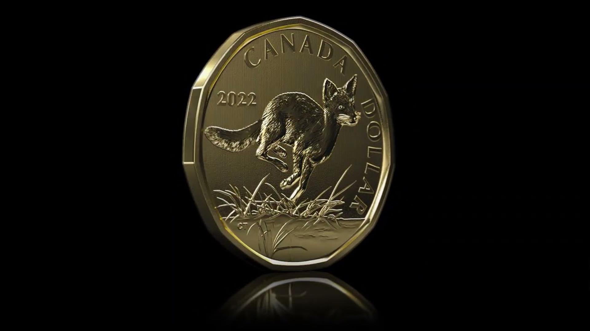 6-Coin Specimen Set – Swift Fox (2022) | The Royal Canadian Mint