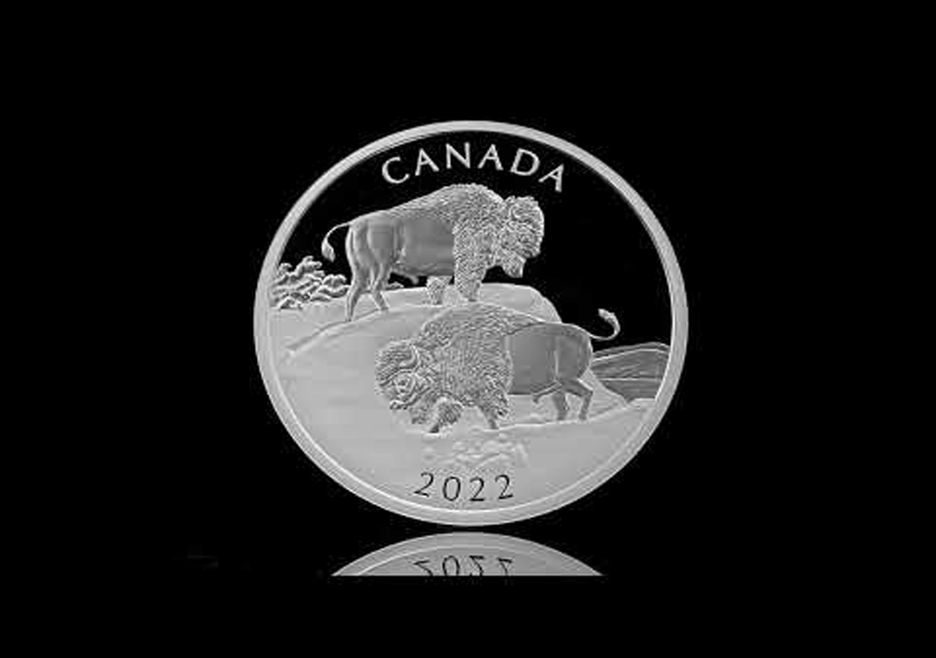 2 oz. Fine Silver Coin – The Mighty Bison (2022) | The Royal Canadian Mint