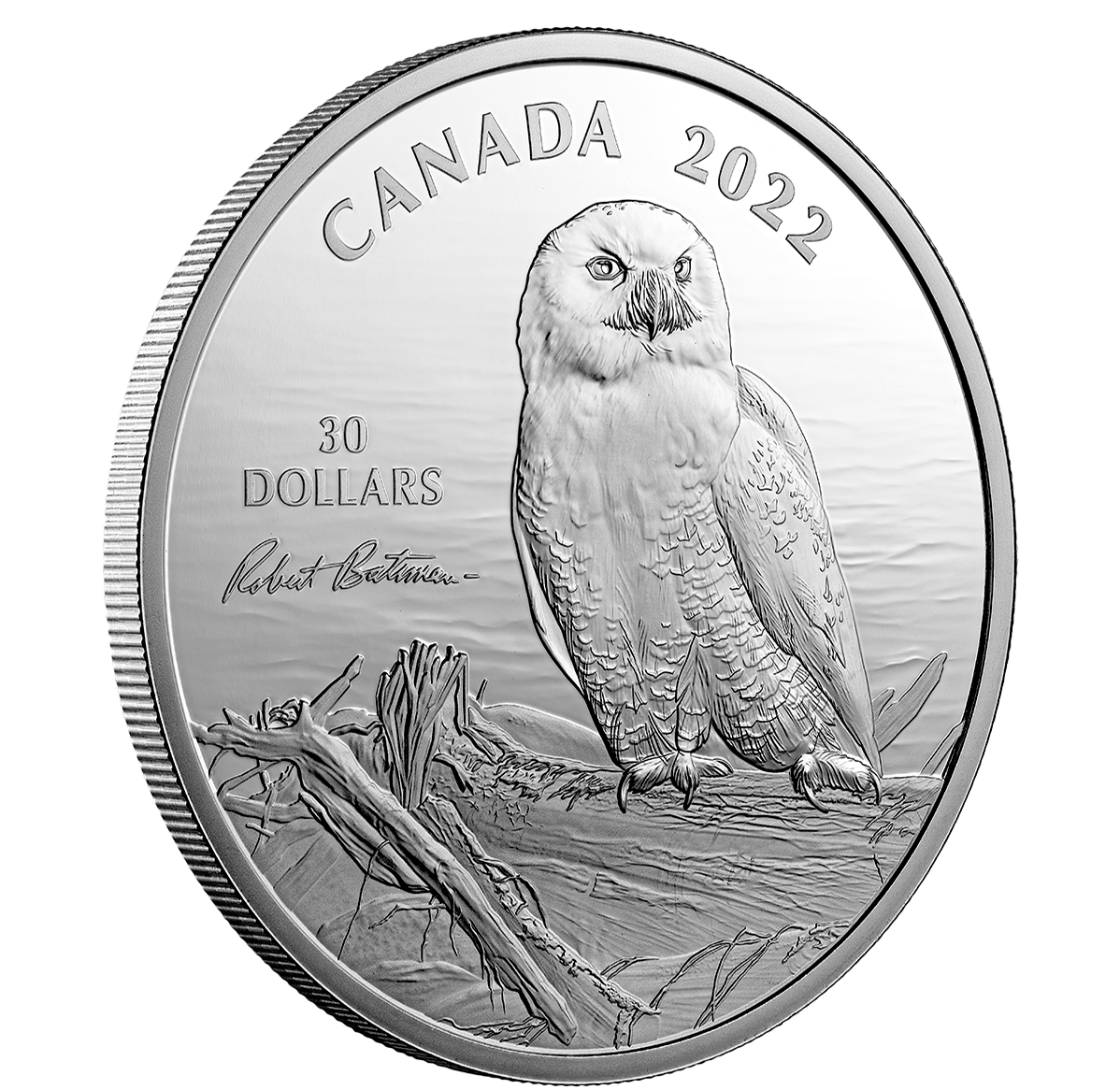 2 oz. Fine Silver Coin – Snowy Owl on Driftwood by Robert Bateman | The ...