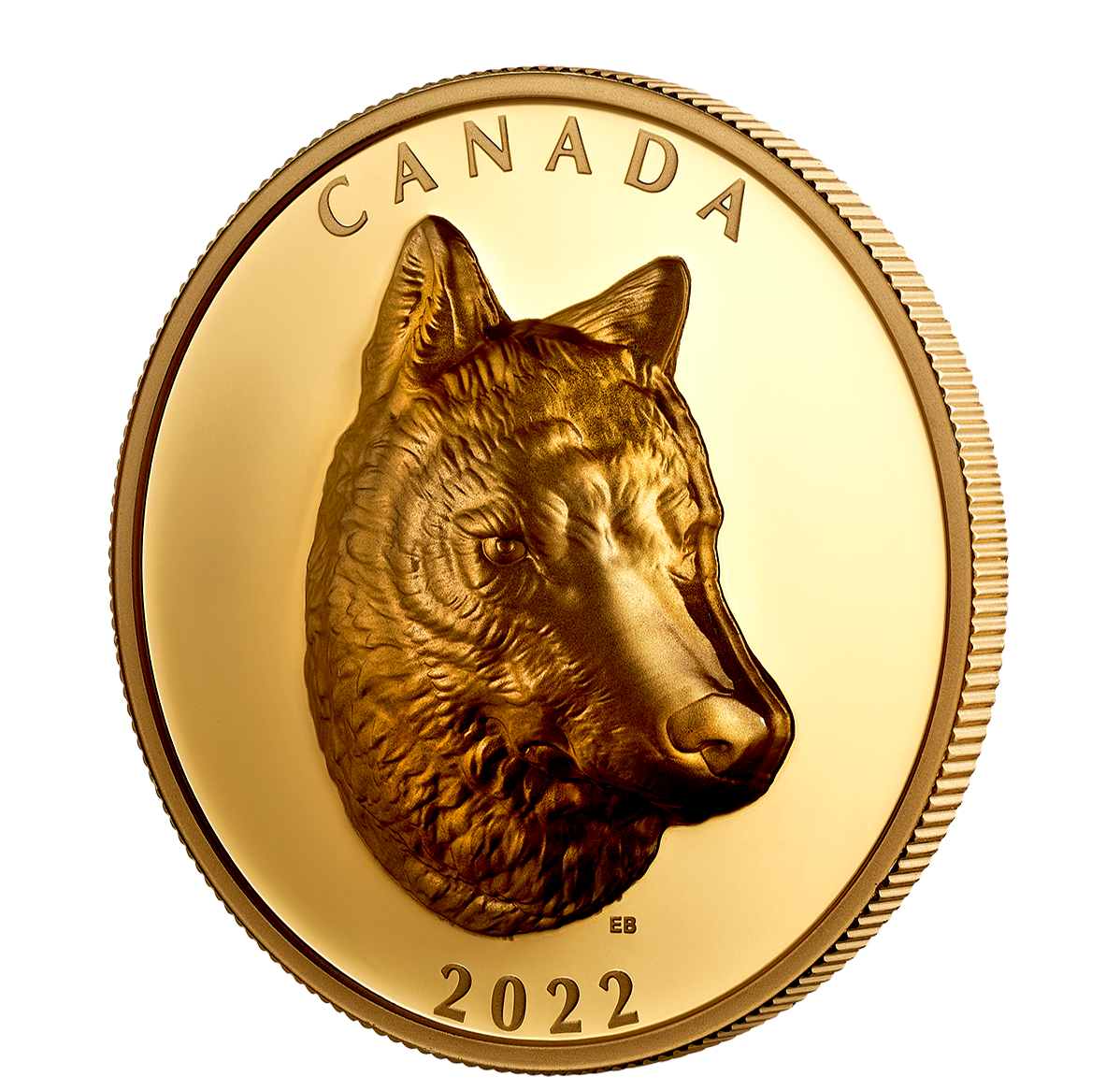 Pure Gold EHR Coin – Timber Wolf | The Royal Canadian Mint