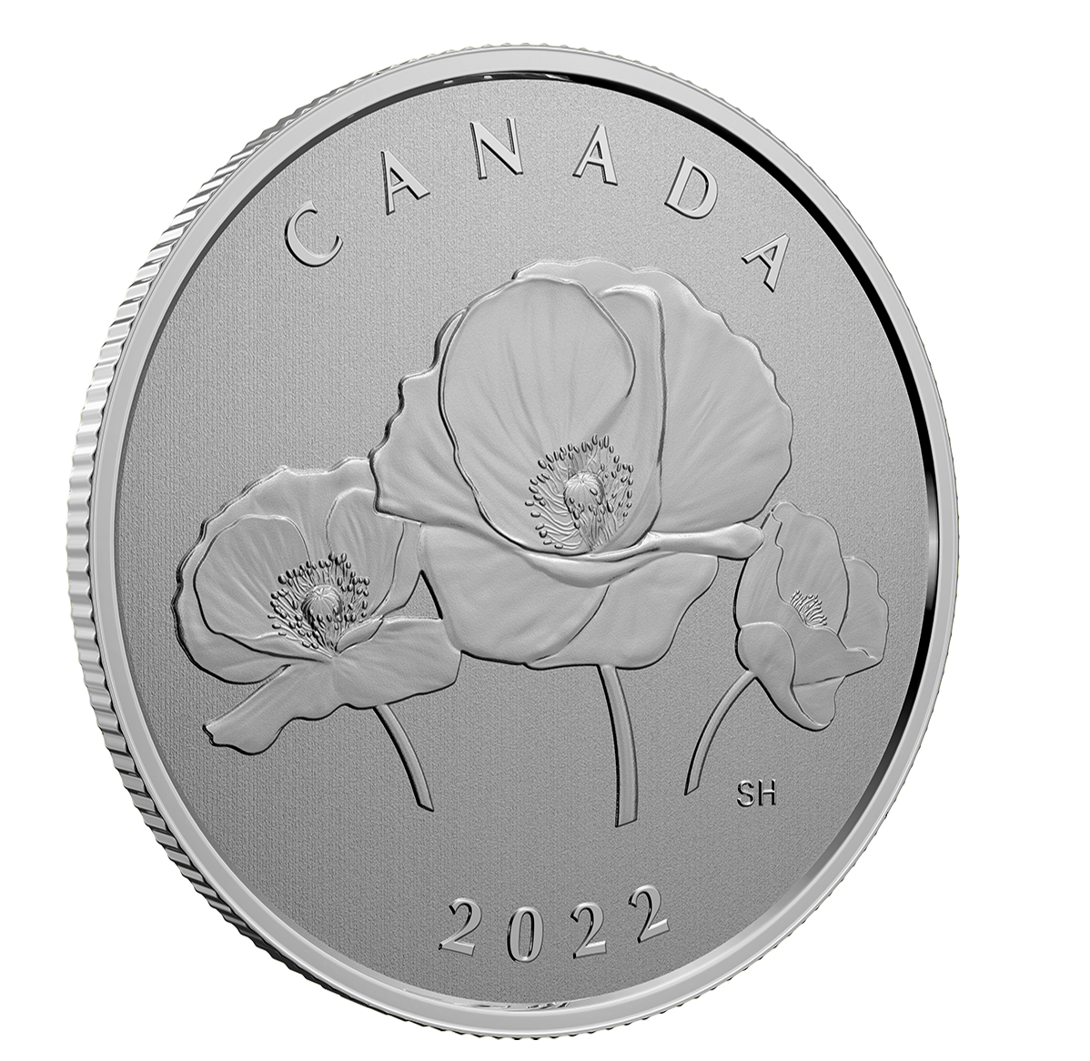 Pièce de ¼ oz en argent pur – Grands moments : Jour du Souvenir | La ...