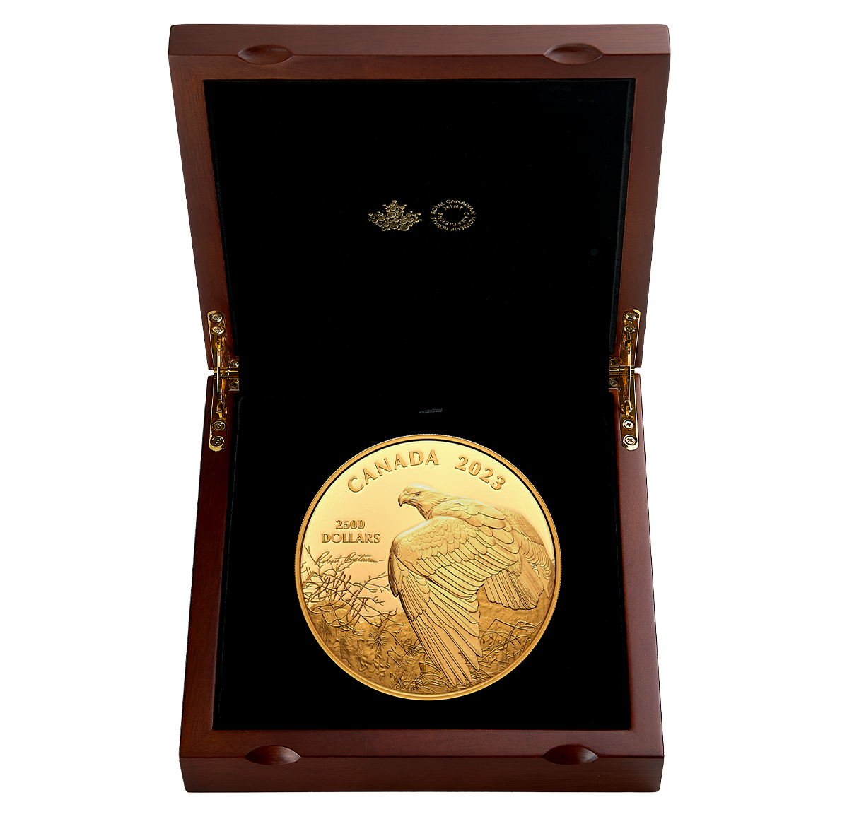 1 Kilogram Pure Gold Coin – Vantage Point – Bald Eagle by Robert ...