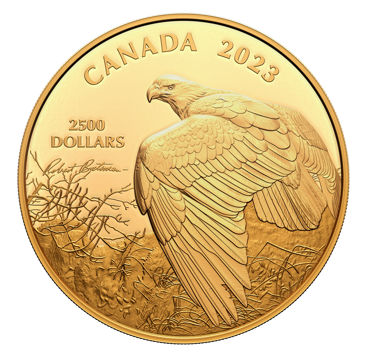 1 Kilogram Pure Gold Coin – Vantage Point – Bald Eagle by Robert ...