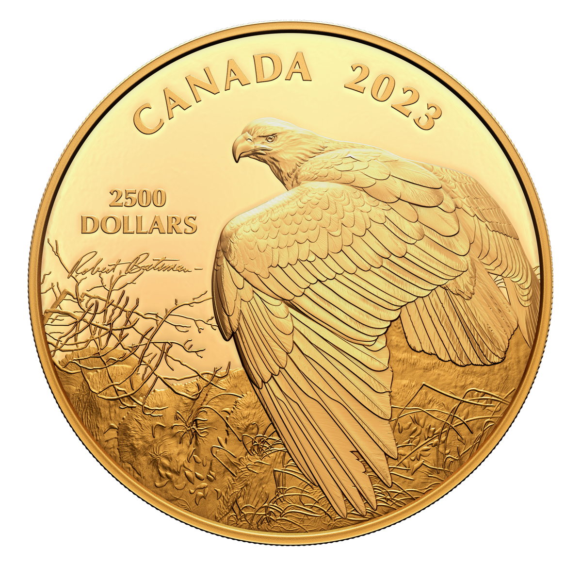 1 Kilogram Pure Gold Coin – Vantage Point – Bald Eagle by Robert ... 1 Kilogram Pure Gold Coin – Vantage Point – Bald Eagle by Robert ...