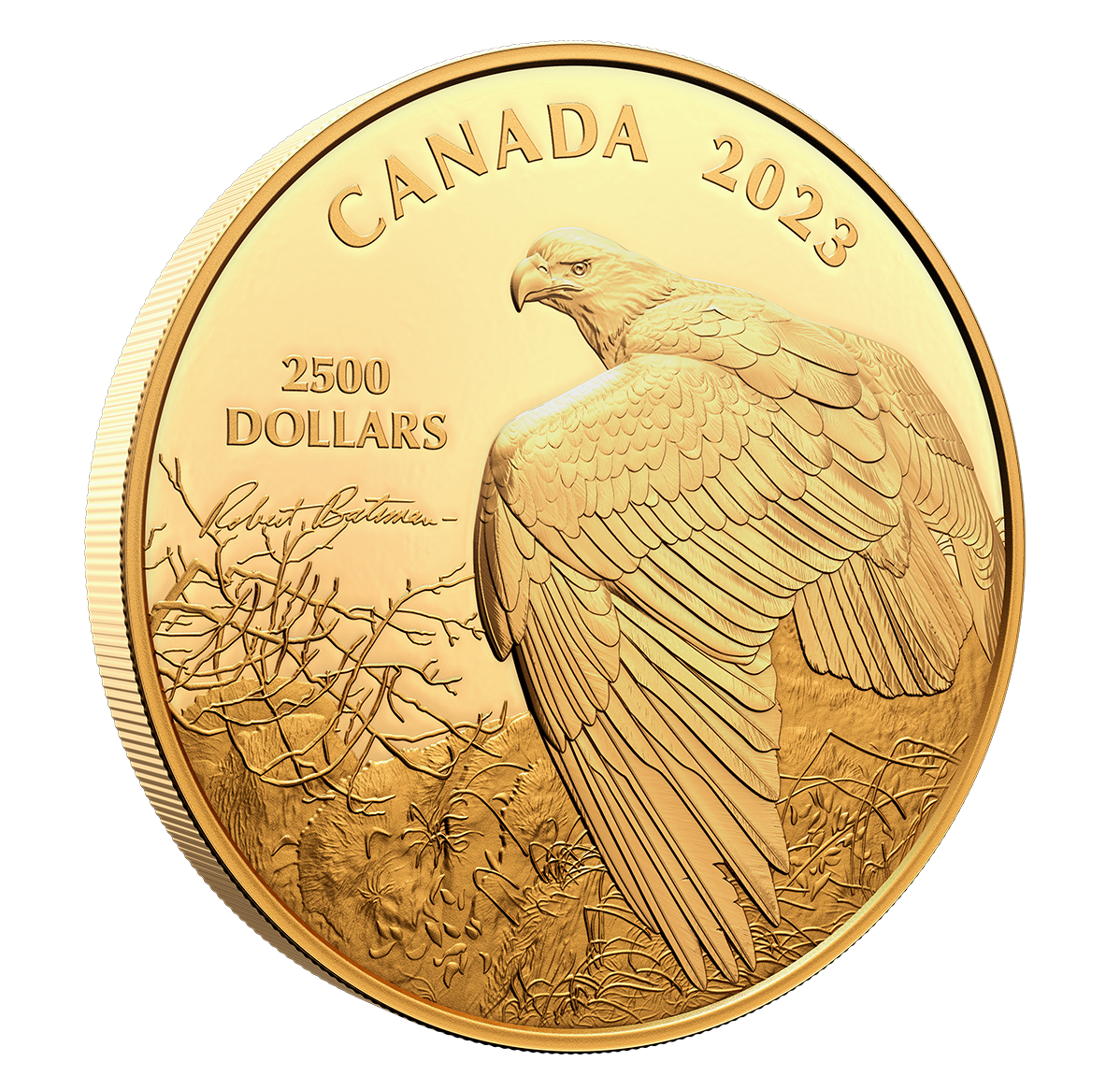 1 Kilogram Pure Gold Coin – Vantage Point – Bald Eagle by Robert ...