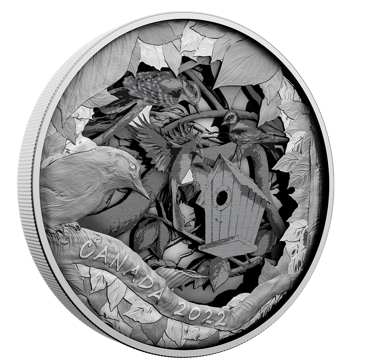 $175 Fine Silver Coin – From the R&D Lab: Birds in Shadow Box | The ...