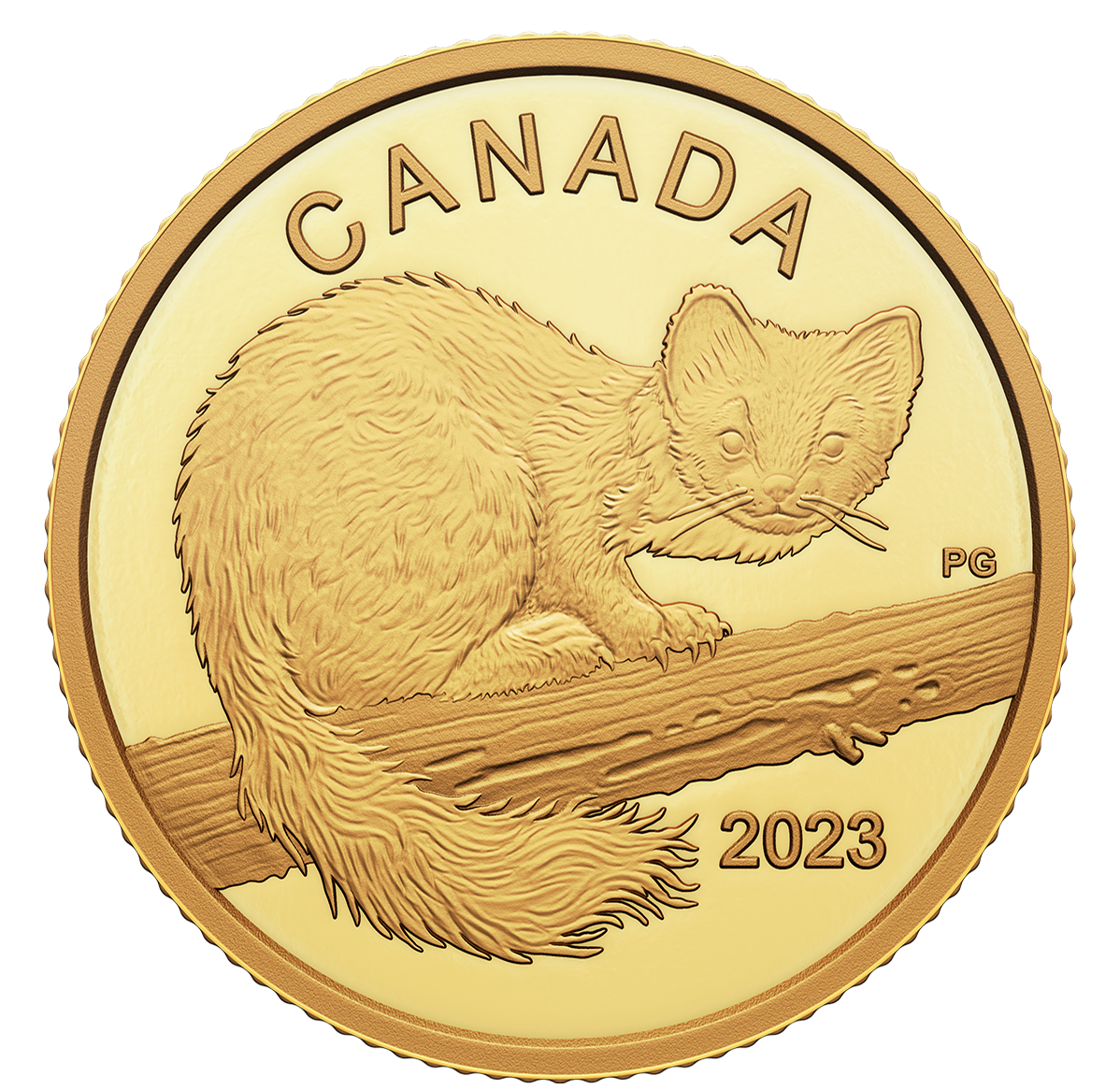Pure Gold Coin – The Curious Marten | The Royal Canadian Mint