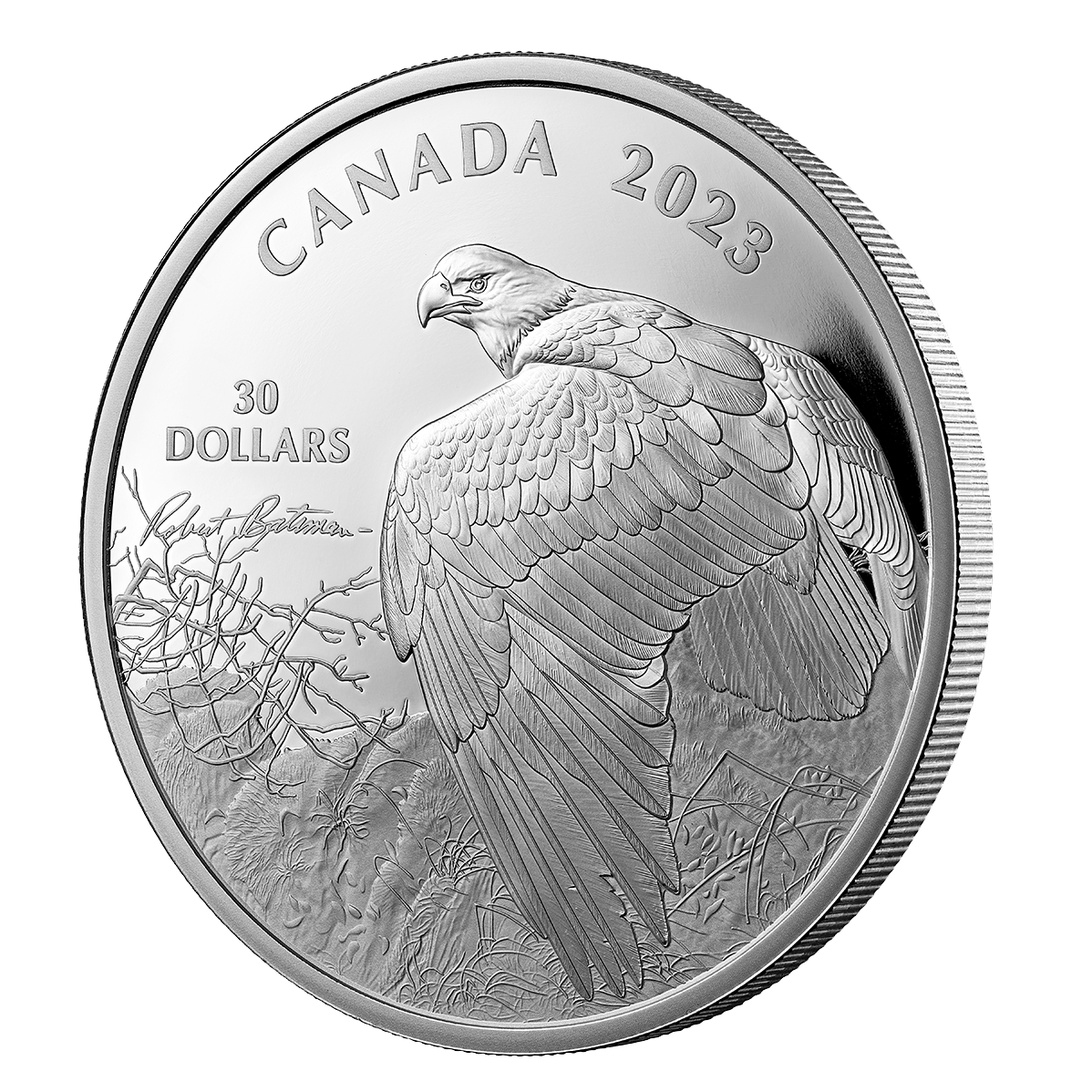 2 oz. Fine Silver Coin – Vantage Point – Bald Eagle by Robert Bateman ...