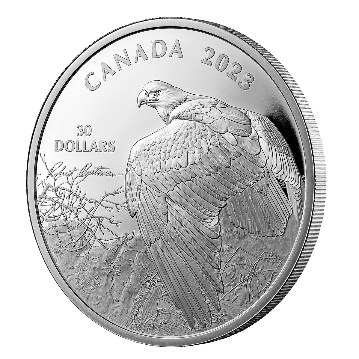 2 oz. Fine Silver Coin – Vantage Point – Bald Eagle by Robert Bateman ...