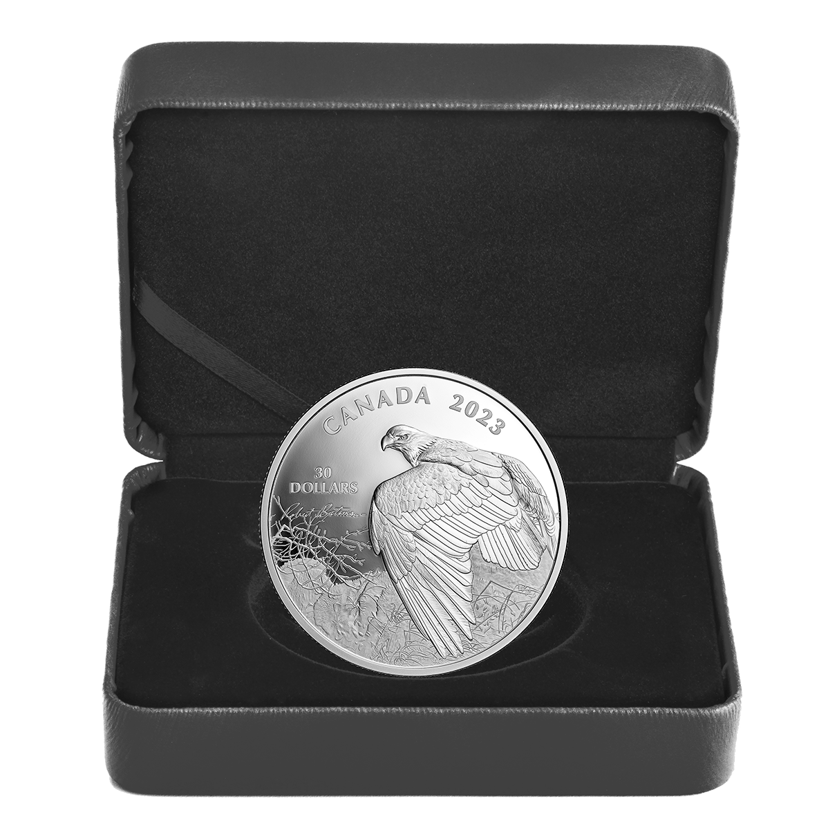 2 oz. Fine Silver Coin – Vantage Point – Bald Eagle by Robert Bateman ...
