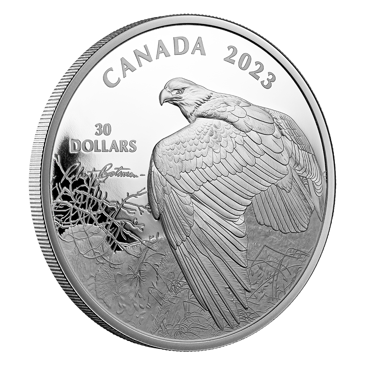 2 oz. Fine Silver Coin – Vantage Point – Bald Eagle by Robert Bateman ...