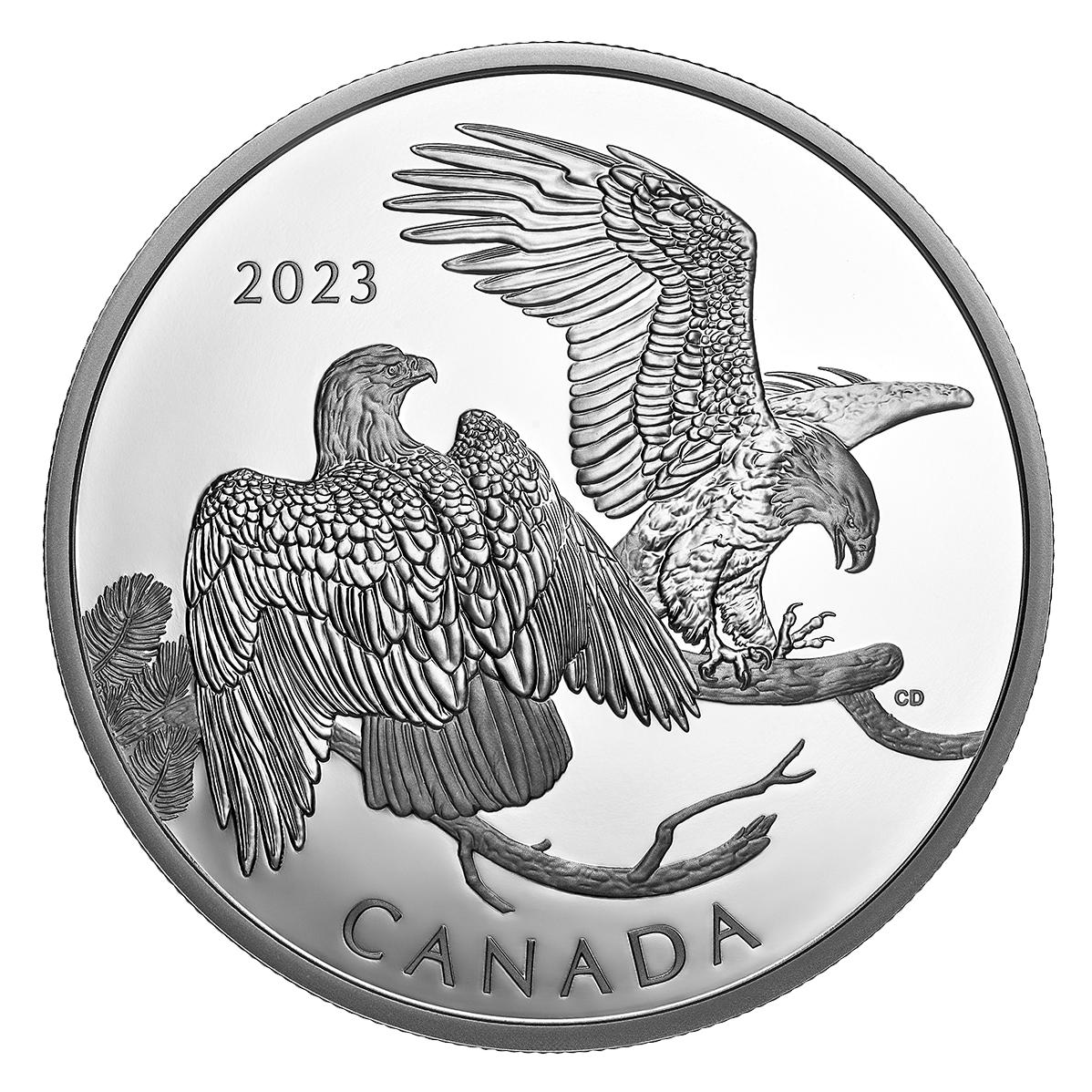 The Striking Bald Eagle - 2 oz. Pure Silver Coin | The Royal Canadian Mint