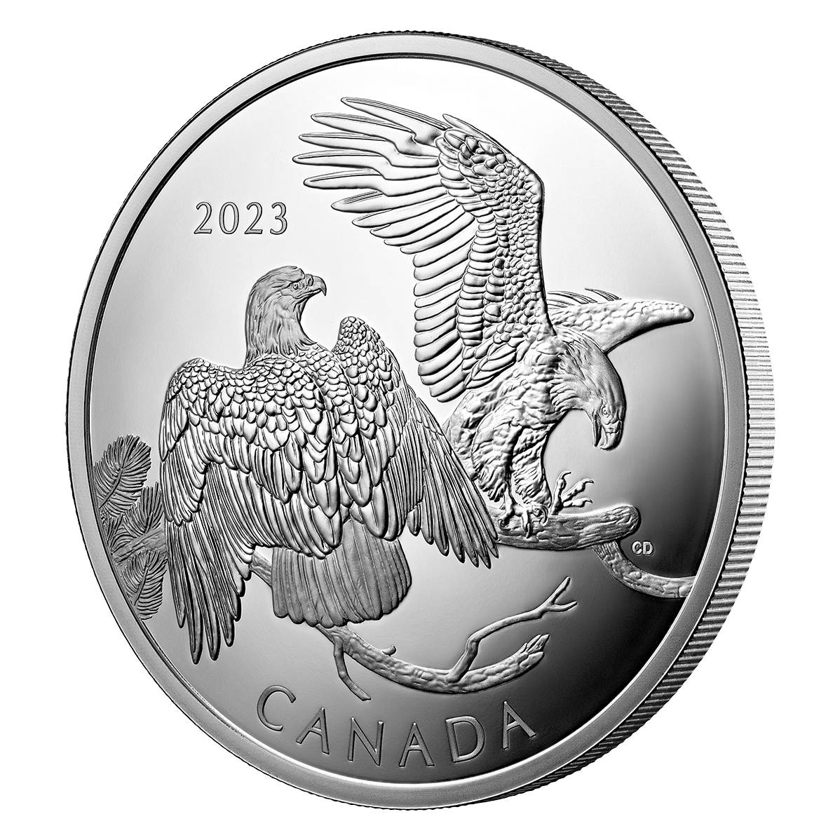 2 oz. Pure Silver Coin – The Striking Bald Eagle | The Royal Canadian Mint