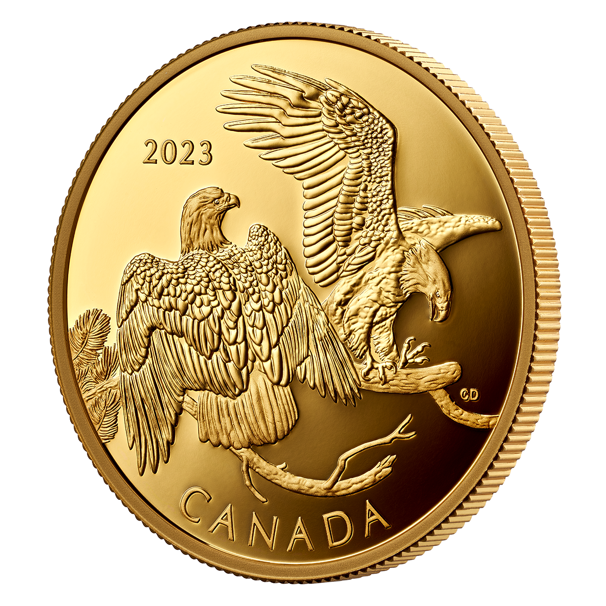The Striking Bald Eagle - Pure Gold Coin | The Royal Canadian Mint