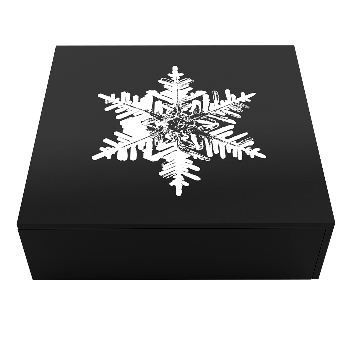 Snowflake - 1 oz. Fine Silver Coin (2023) | The Royal Canadian Mint