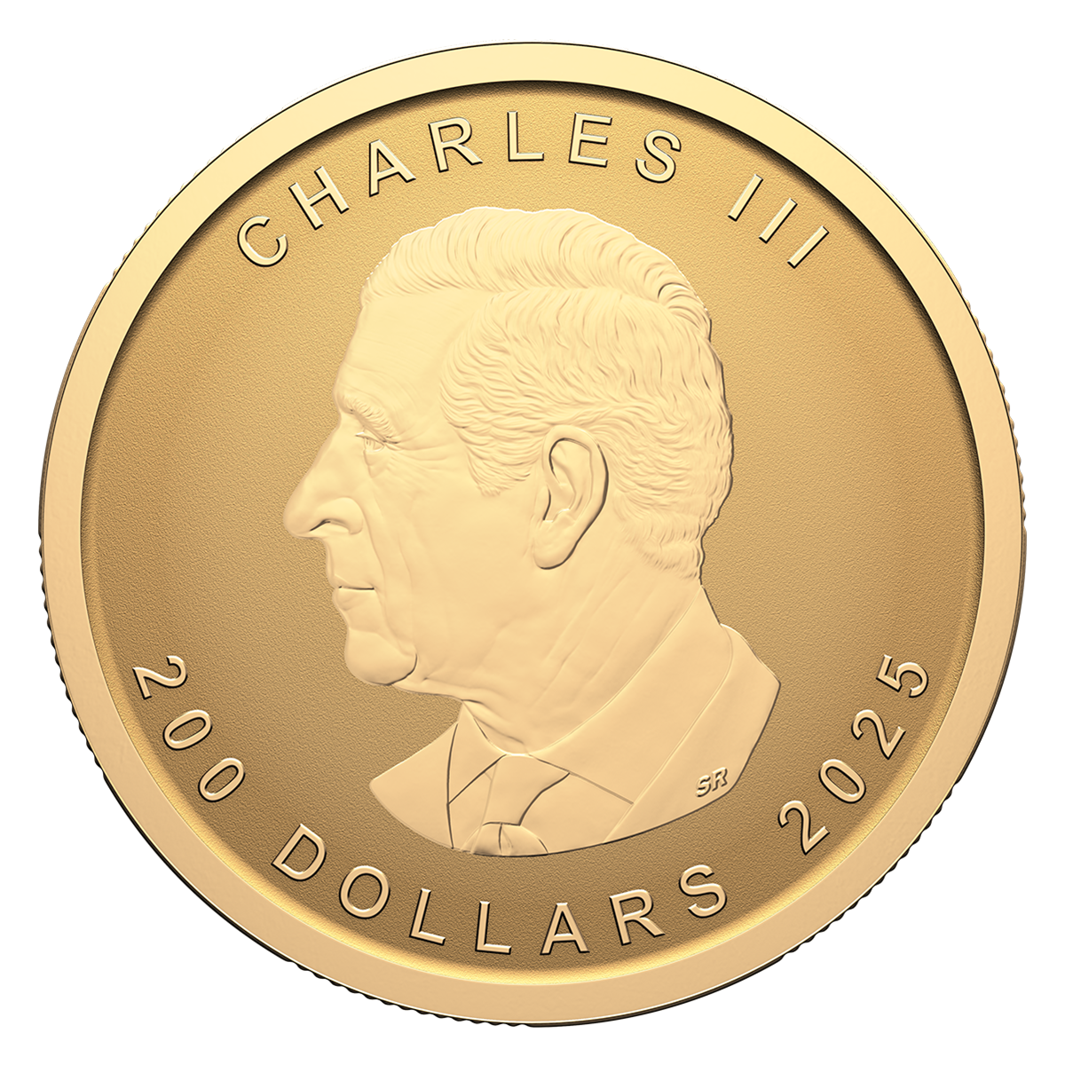 2025 Our Purest Maple Leaf - 1 oz. 99.999% Pure Gold Coin (Premium ...