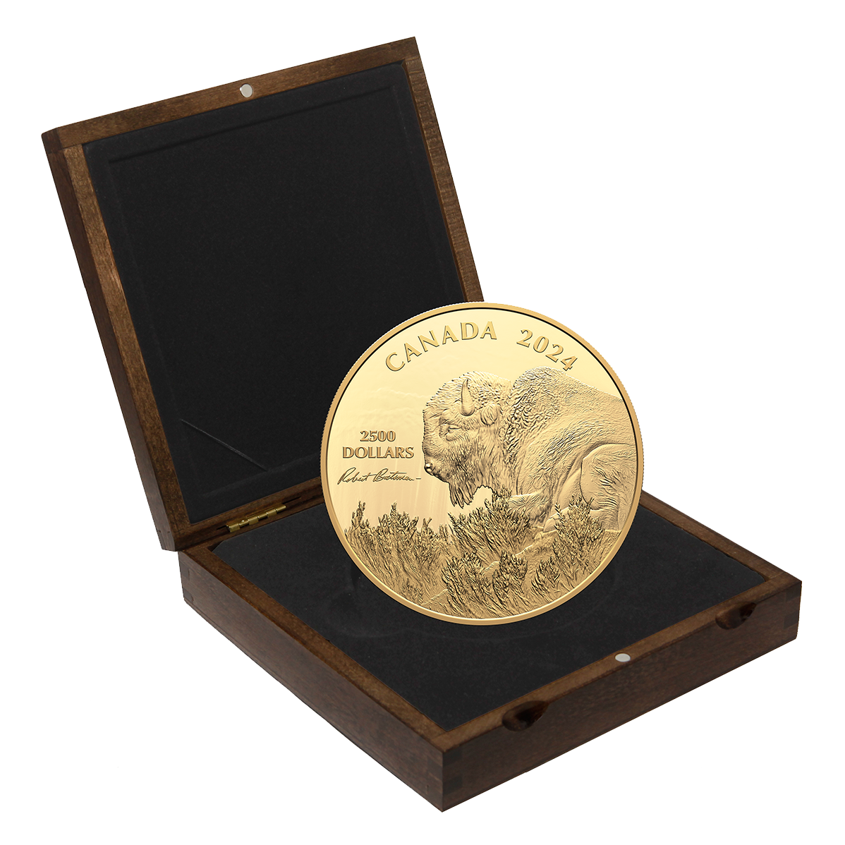 1 Kilogram Pure Gold Coin – Weather Watch - Bison by Robert Bateman ...