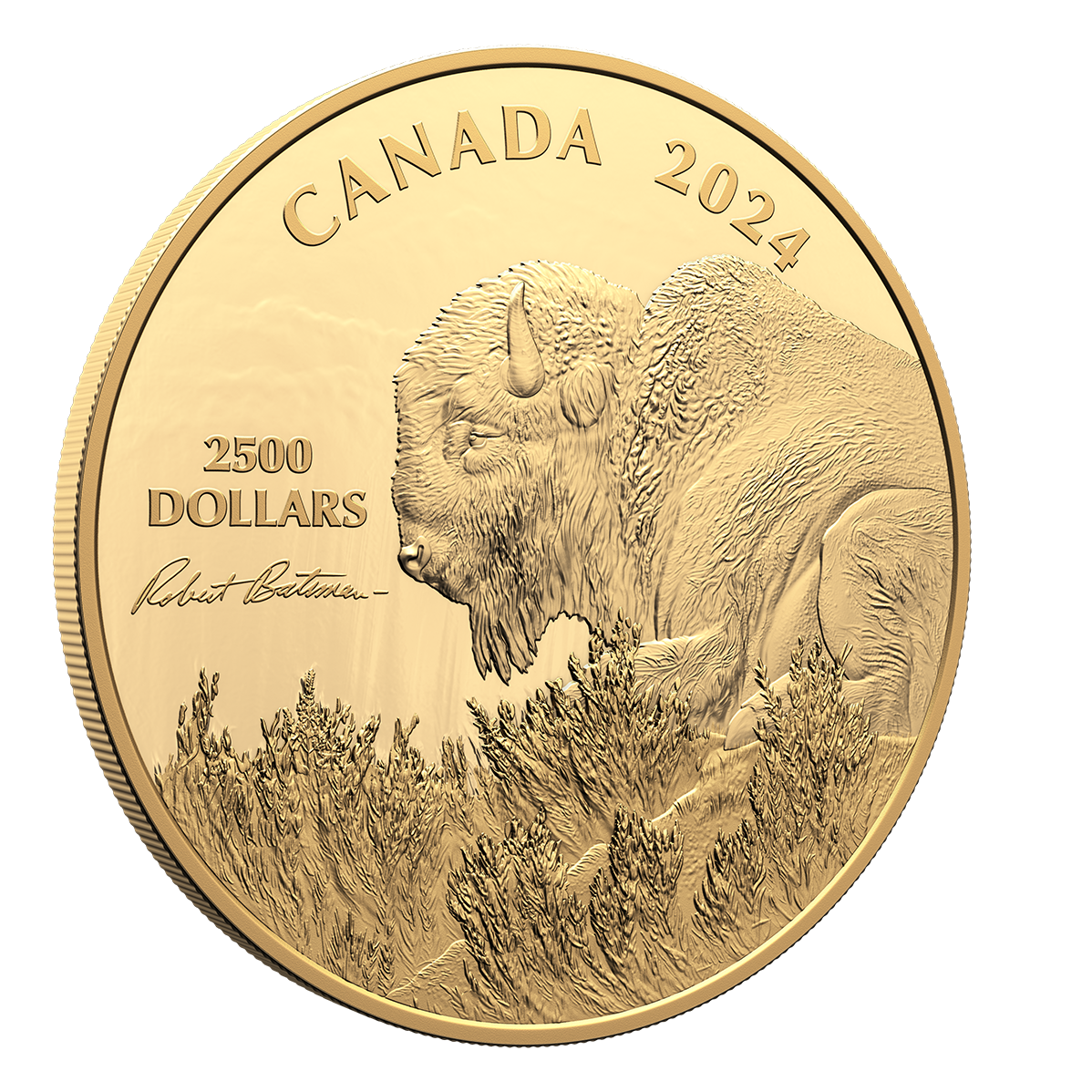 1 Kilogram Pure Gold Coin – Weather Watch - Bison by Robert Bateman ...