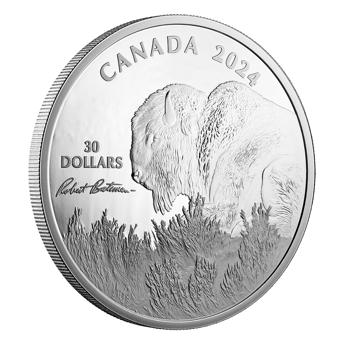 2 oz. Fine Silver Coin – Weather Watch - Bison by Robert Bateman | The ...