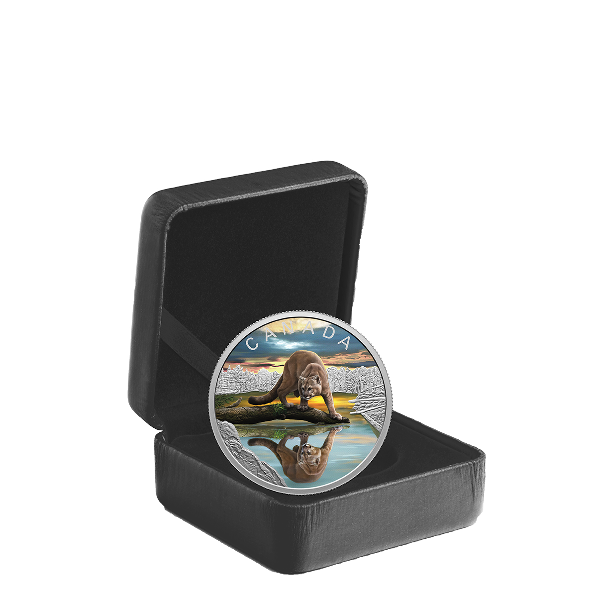 Pure Silver Coin – Wildlife Reflections: Cougar | The Royal Canadian Mint