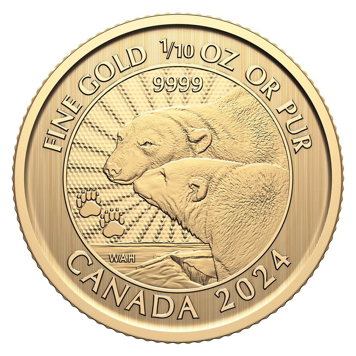 The Majestic Polar Bears - 1/10 oz. 99.99% Pure Gold Coin (Premium ...