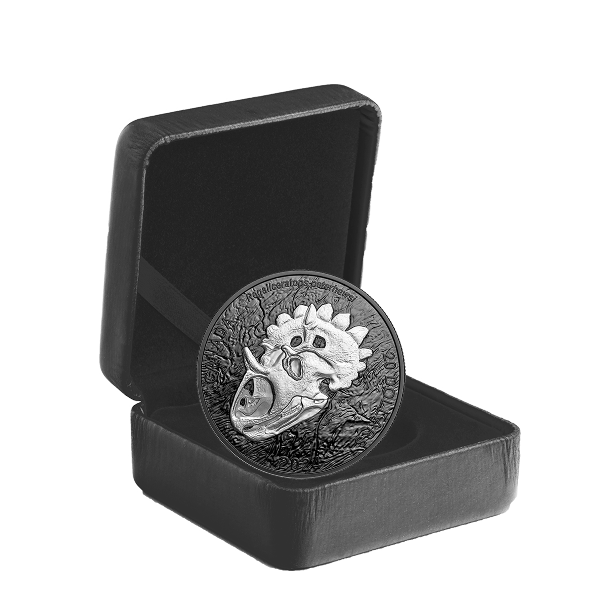 Discovering Dinosaurs: Royal Horned Face - Rhodium-Plated Pure Silver ...