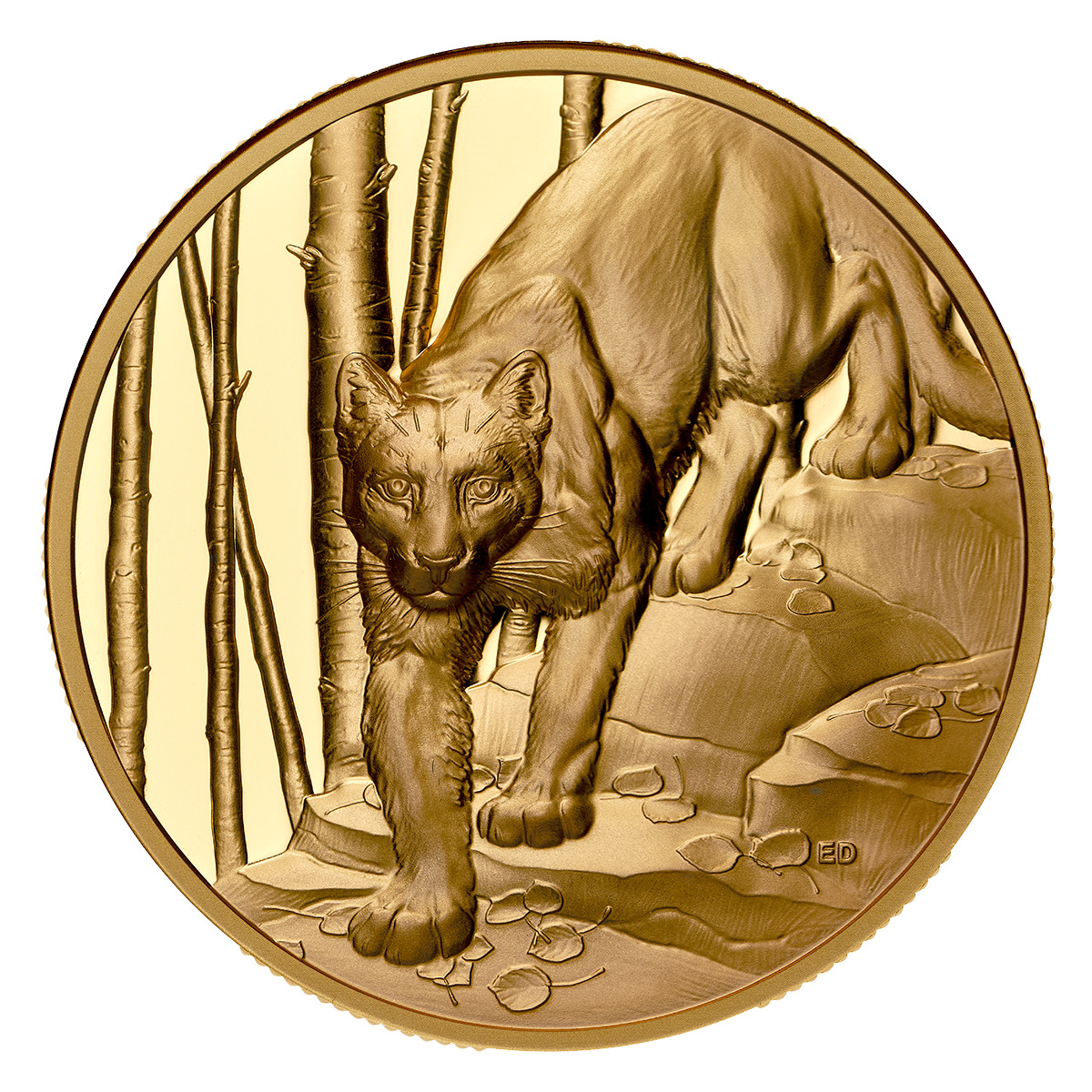 Great Hunters: Cougar - Pure Gold Ultra High Relief Coin | The Royal ...