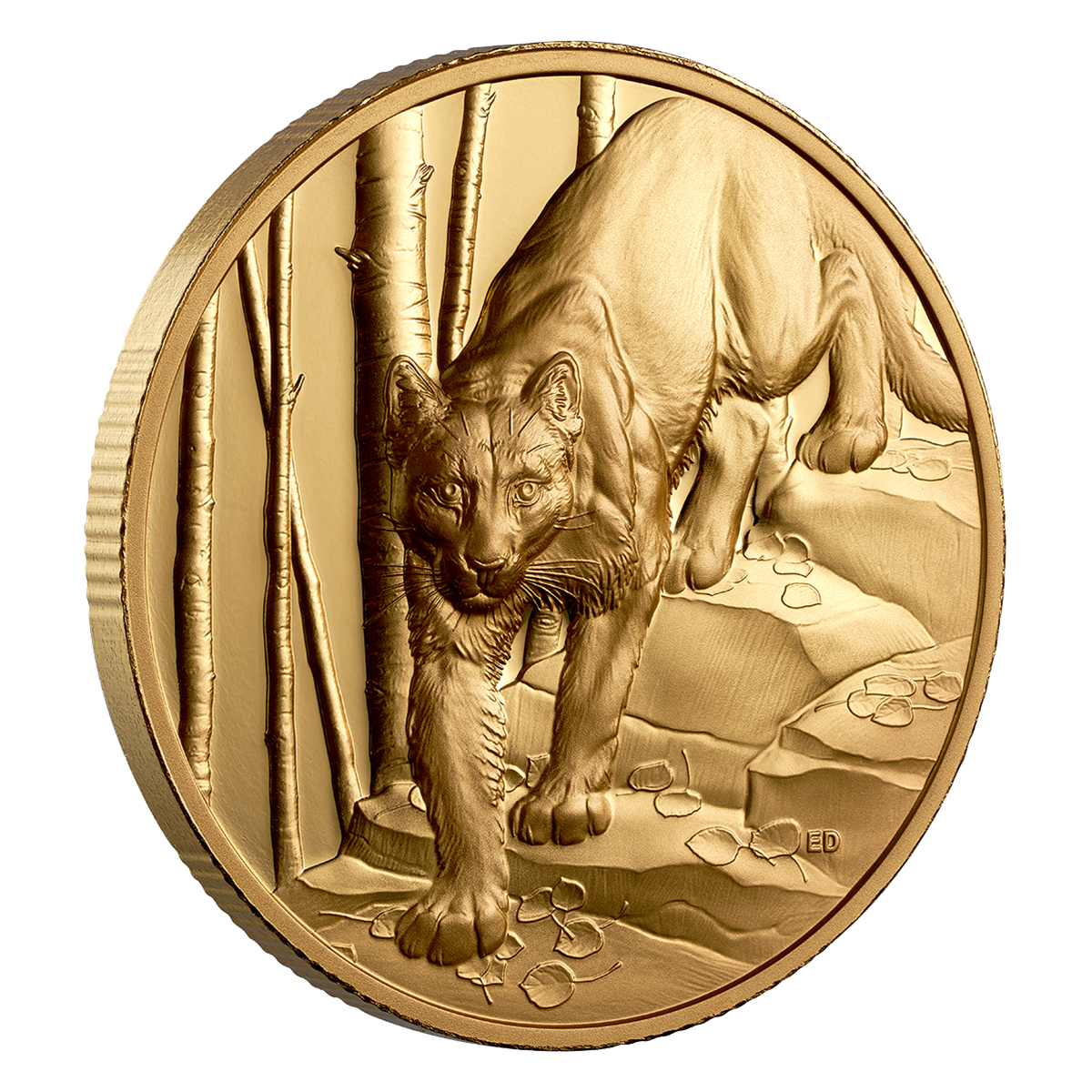 Great Hunters: Cougar - Pure Gold Ultra High Relief Coin | The Royal ...