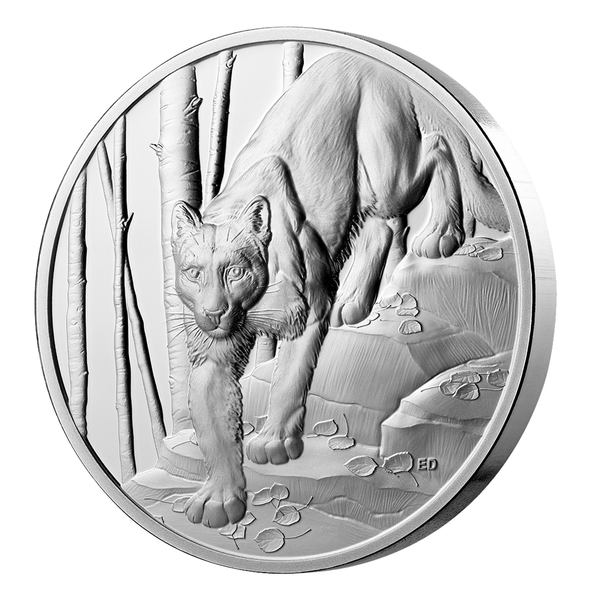 Great Hunters: Cougar - Fine Silver Ultra High Relief Coin | The Royal ...
