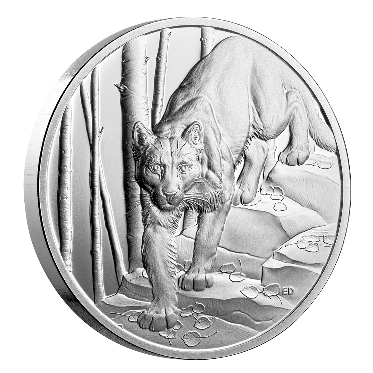 Great Hunters: Cougar - Fine Silver Ultra High Relief Coin | The Royal ...