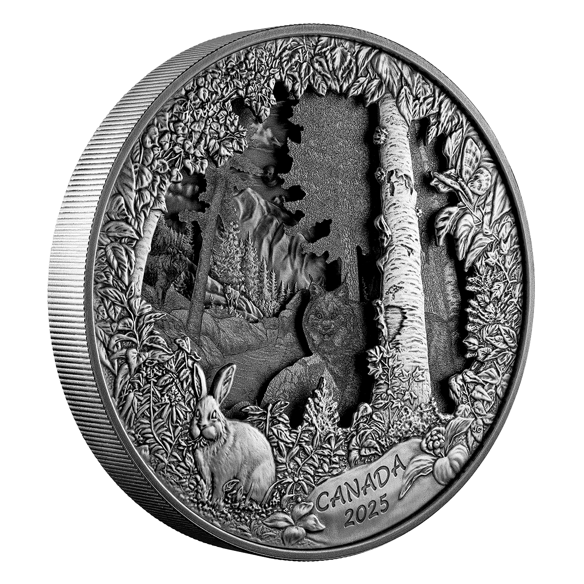 Predator or Prey in Shadow Box – Fine Silver Coin | The Royal Canadian Mint