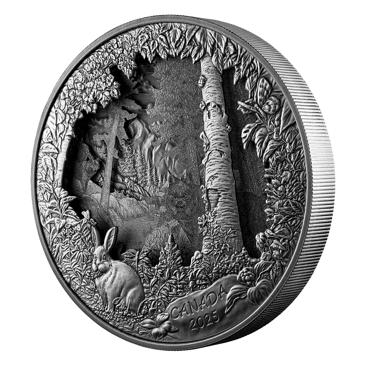 Predator or Prey in Shadow Box – Fine Silver Coin | The Royal Canadian Mint