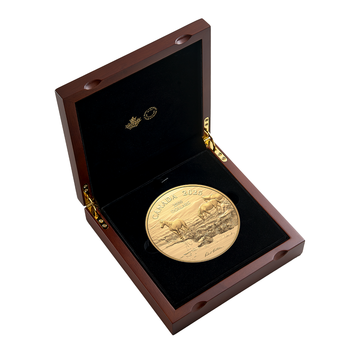 Mustang Country by Robert Bateman – 1 kilo Pure Gold Coin | The Royal ...