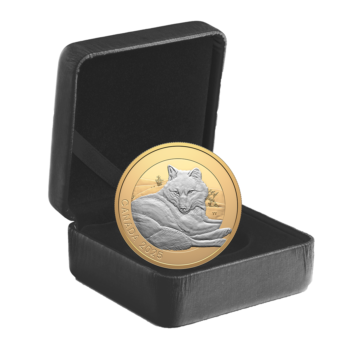 Animal Portraits: Grey Wolf – 1 oz. Fine Silver Coin | The Royal ...