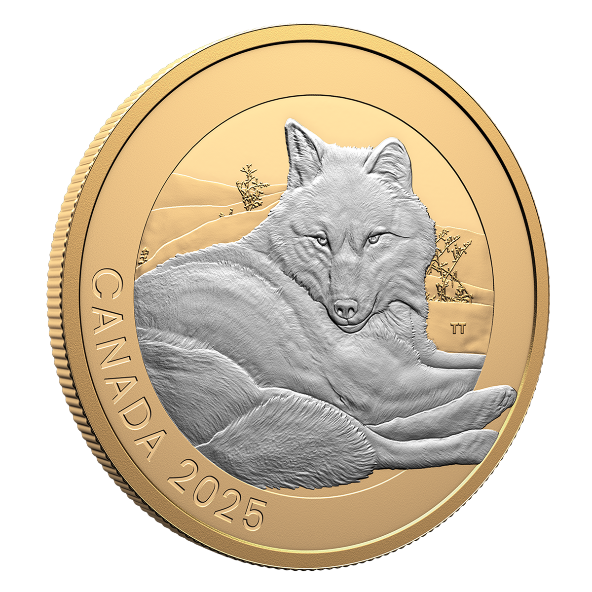 Animal Portraits: Grey Wolf – 1 oz. Fine Silver Coin | The Royal ...