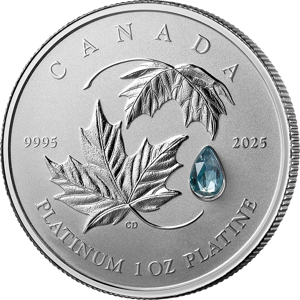 Maple Leaf Forever – 1 oz. Pure Platinum Coin (2025) | The Royal Canadian Mint