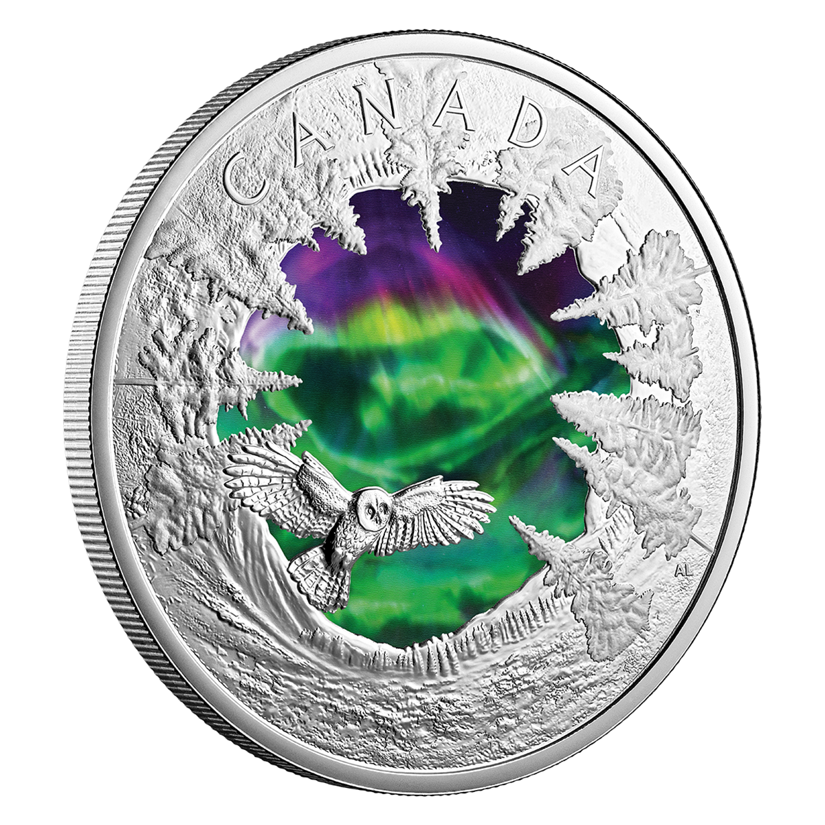 Magic of the Northern Lights – 2 oz. Fine Silver Coin | The Royal ...