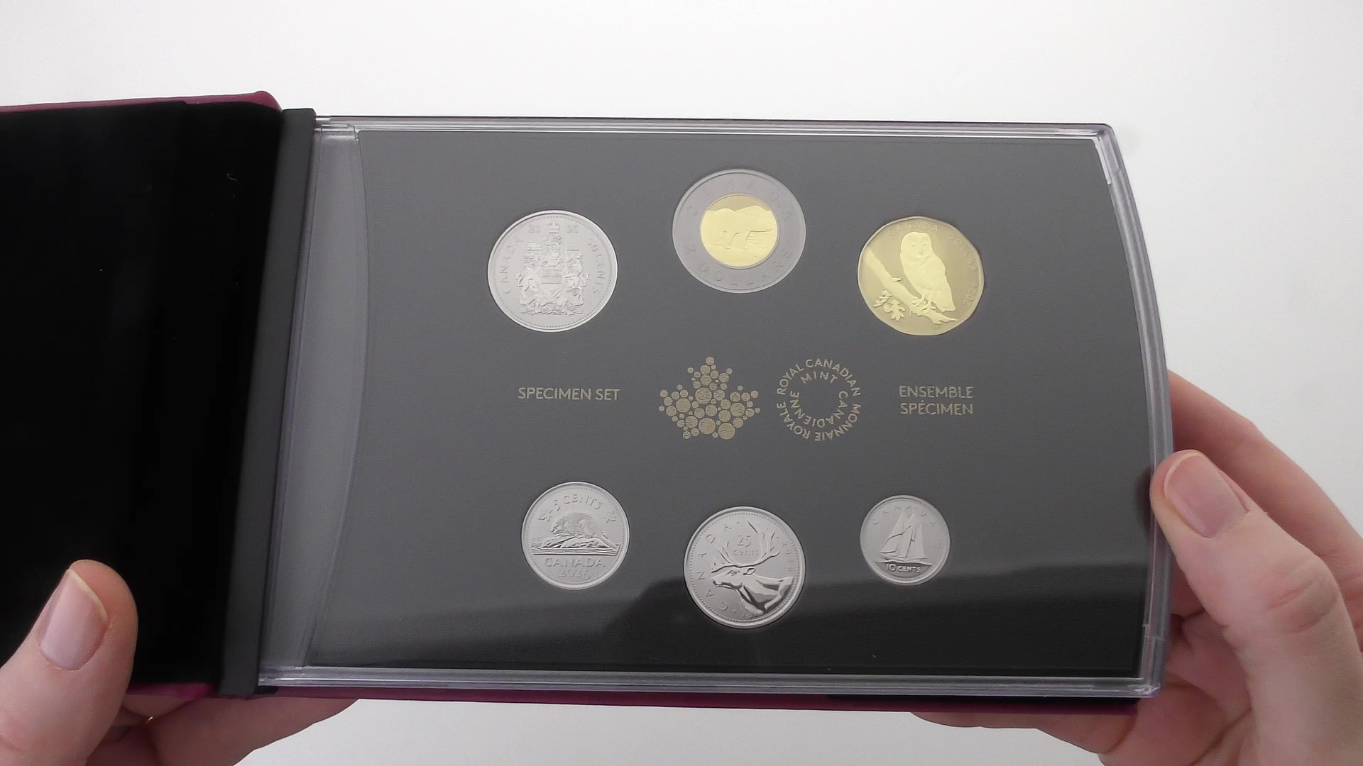 Specimen Set – Barn Owl (2026) | The Royal Canadian Mint